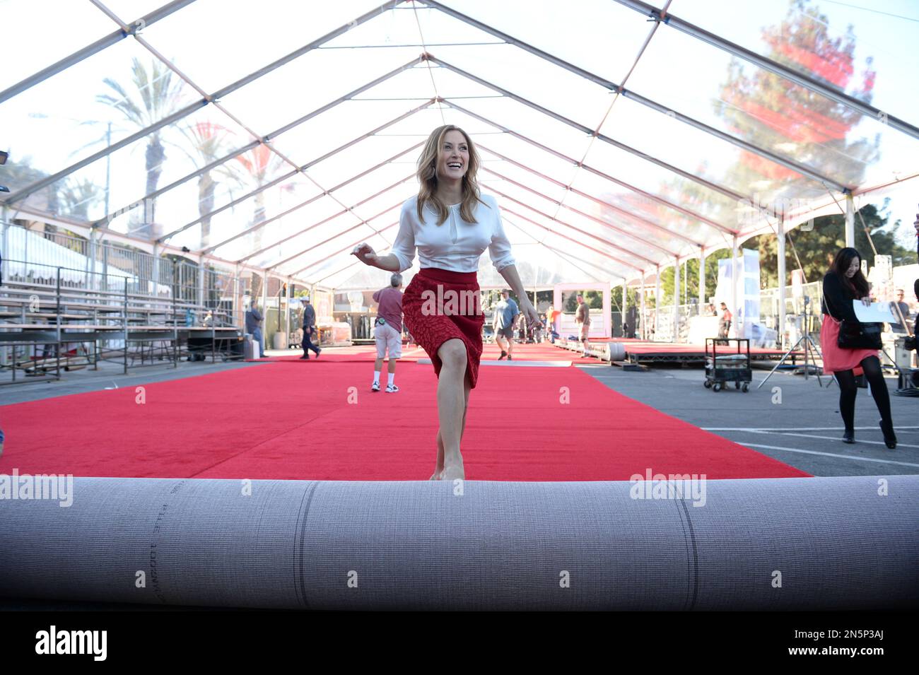 Sasha Alexander rolls out the carpet for the 20th Annual Screen Actors ...