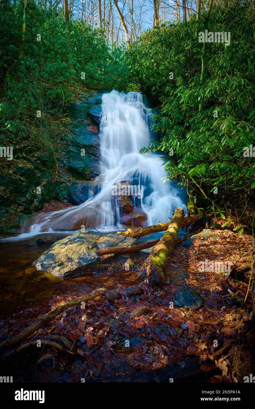 Log Hollow Falls in Pisgah National Forest, North Carolina Stock Photo ...