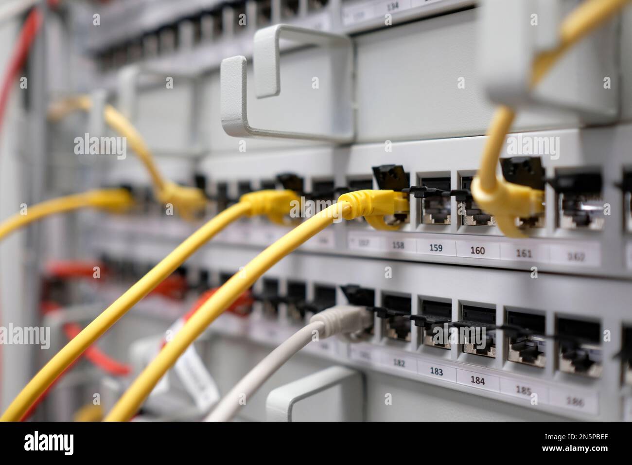 Network technology - multiple colorful cables in an IT and server room ...