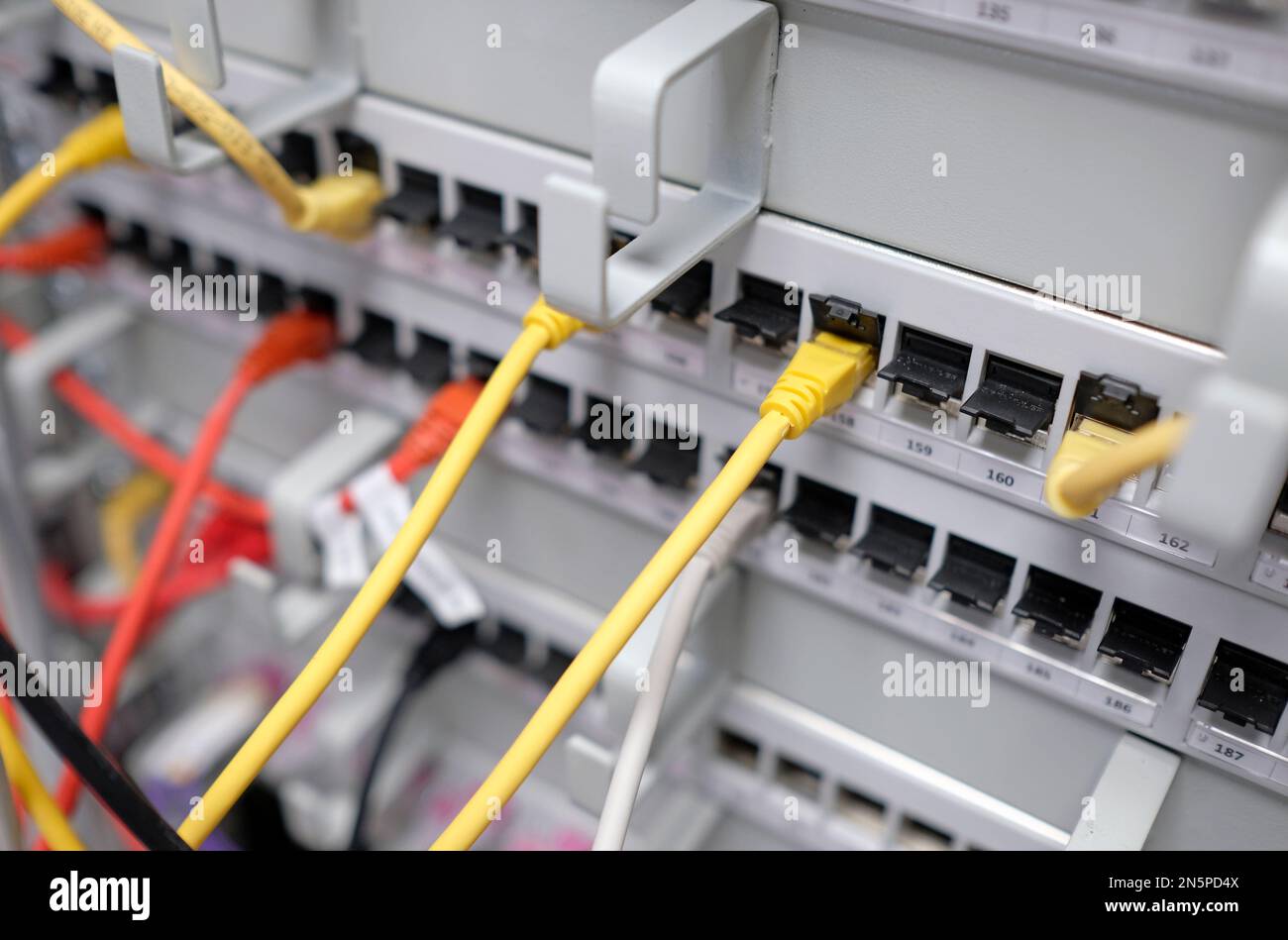 Network technology - multiple colorful cables in an IT and server room ...