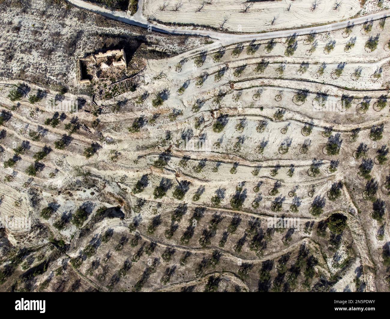 aerial view of farm house in ruins in olive grove near the village of ...