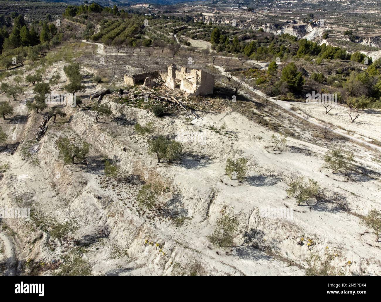 aerial view of farm house in ruins in olive grove near the village of ...