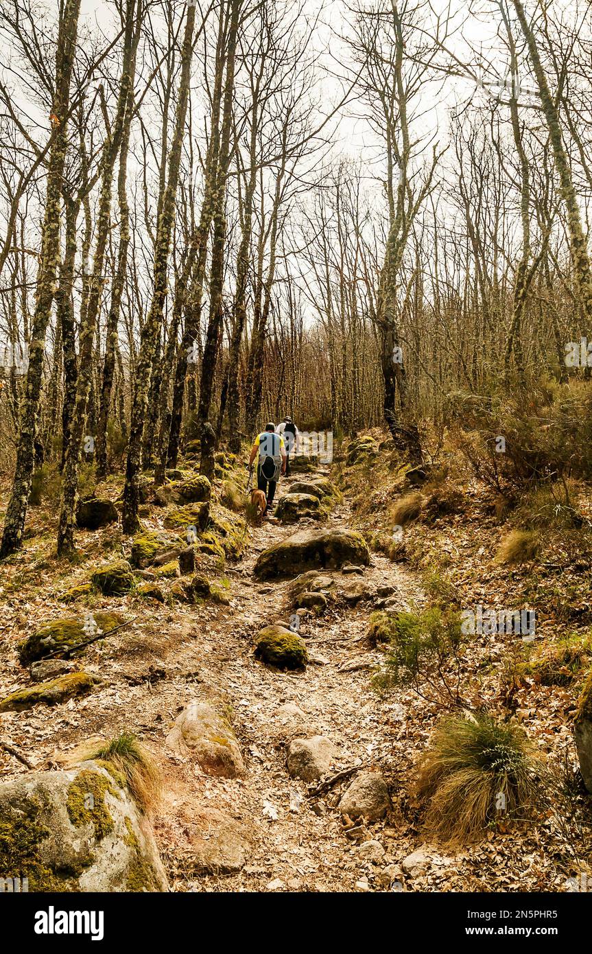 Walking up a slope hi-res stock photography and images - Alamy