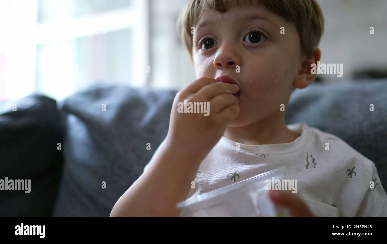 Child eating blueberries. Little boy snacking healthy blueberry fruit ...
