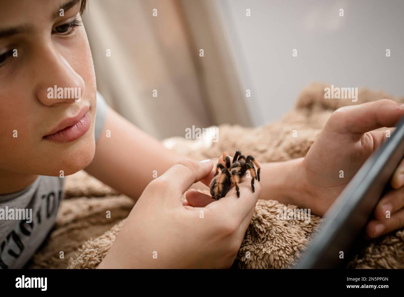 Scary rabbit hi-res stock photography and images - Alamy