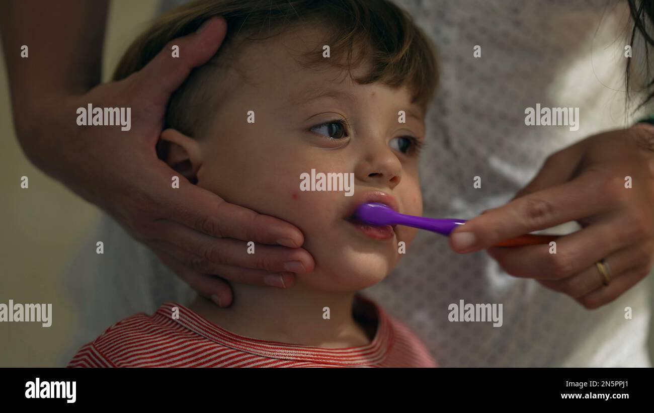 Mother brushing child teeth. Small boy dental hygiene night routine before bedtime Stock Photo ...