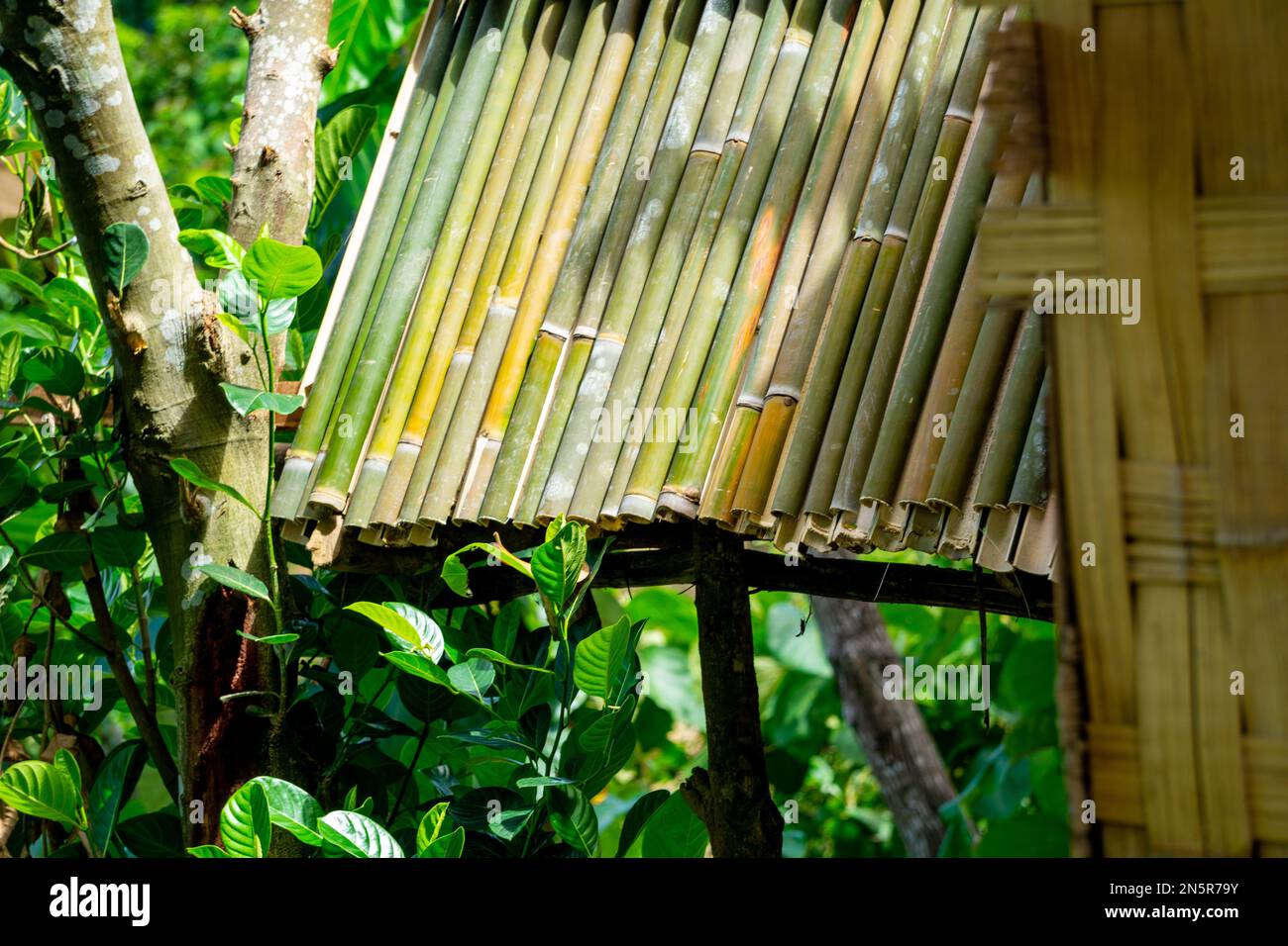 Simple Bamboo Structures