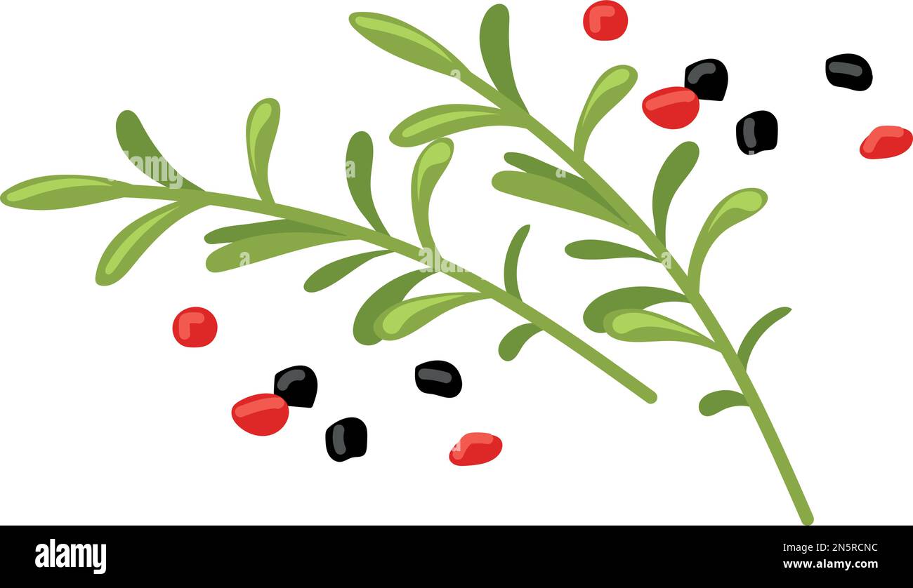 Cooking herbs cartoon icon. Rosemary branches and pomegranate seeds ...