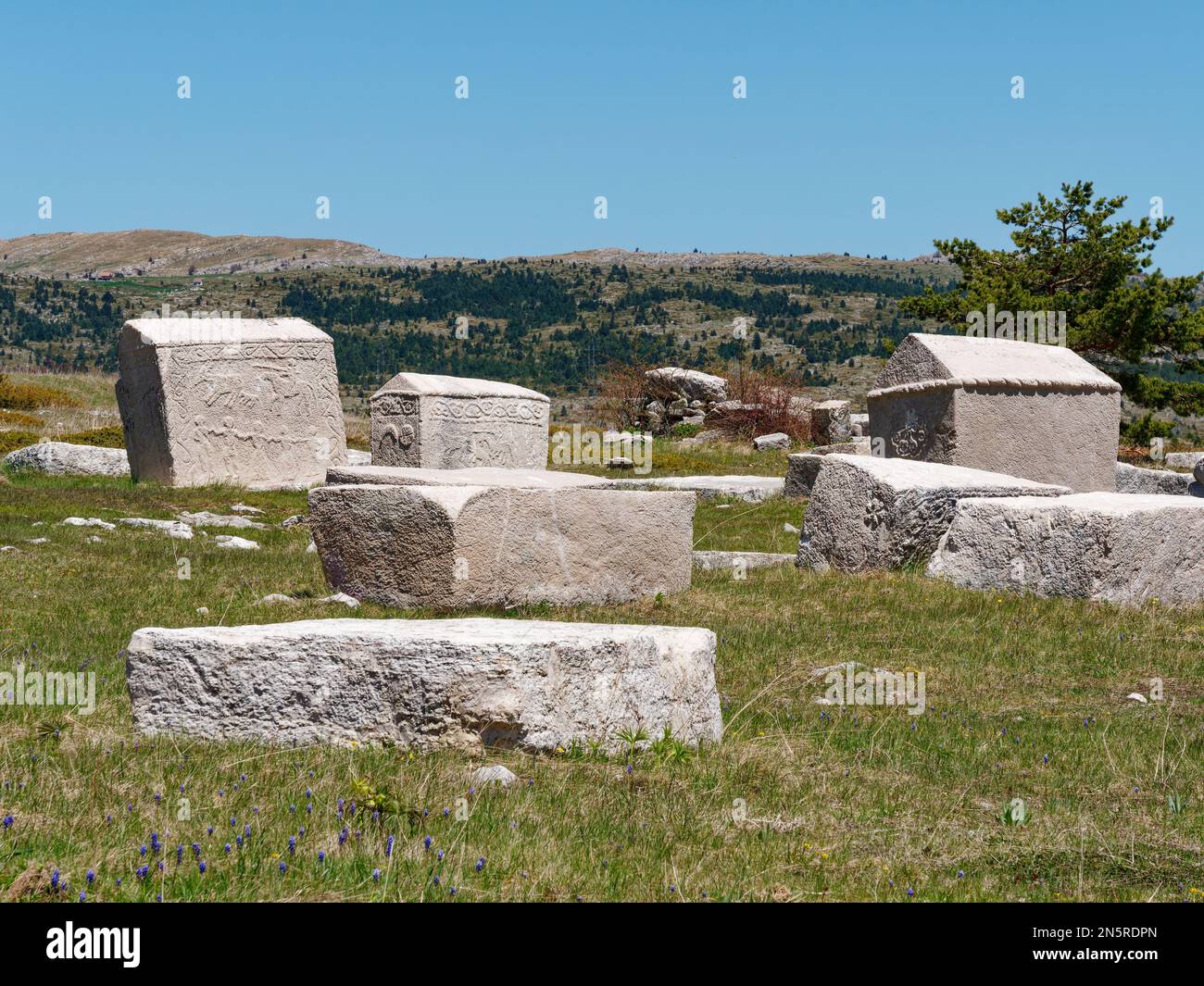 Stecci Medieval Tombstones Graveyards Dugo Polje in Blidinje, BiH ...