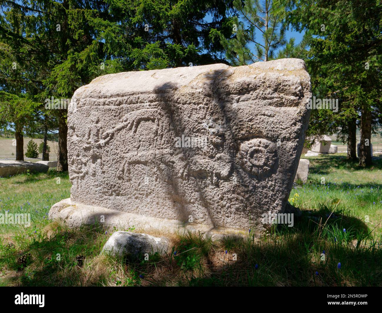 Stecci Medieval Tombstones Graveyards Risovac in Blidinje, BiH. Unesco ...