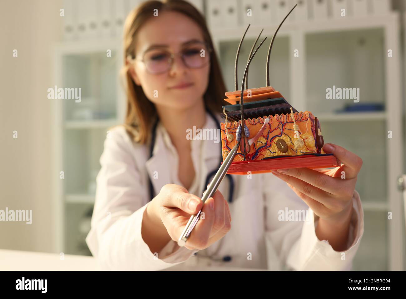 Young female dermatologist holds pen and anatomical model of human skin ...