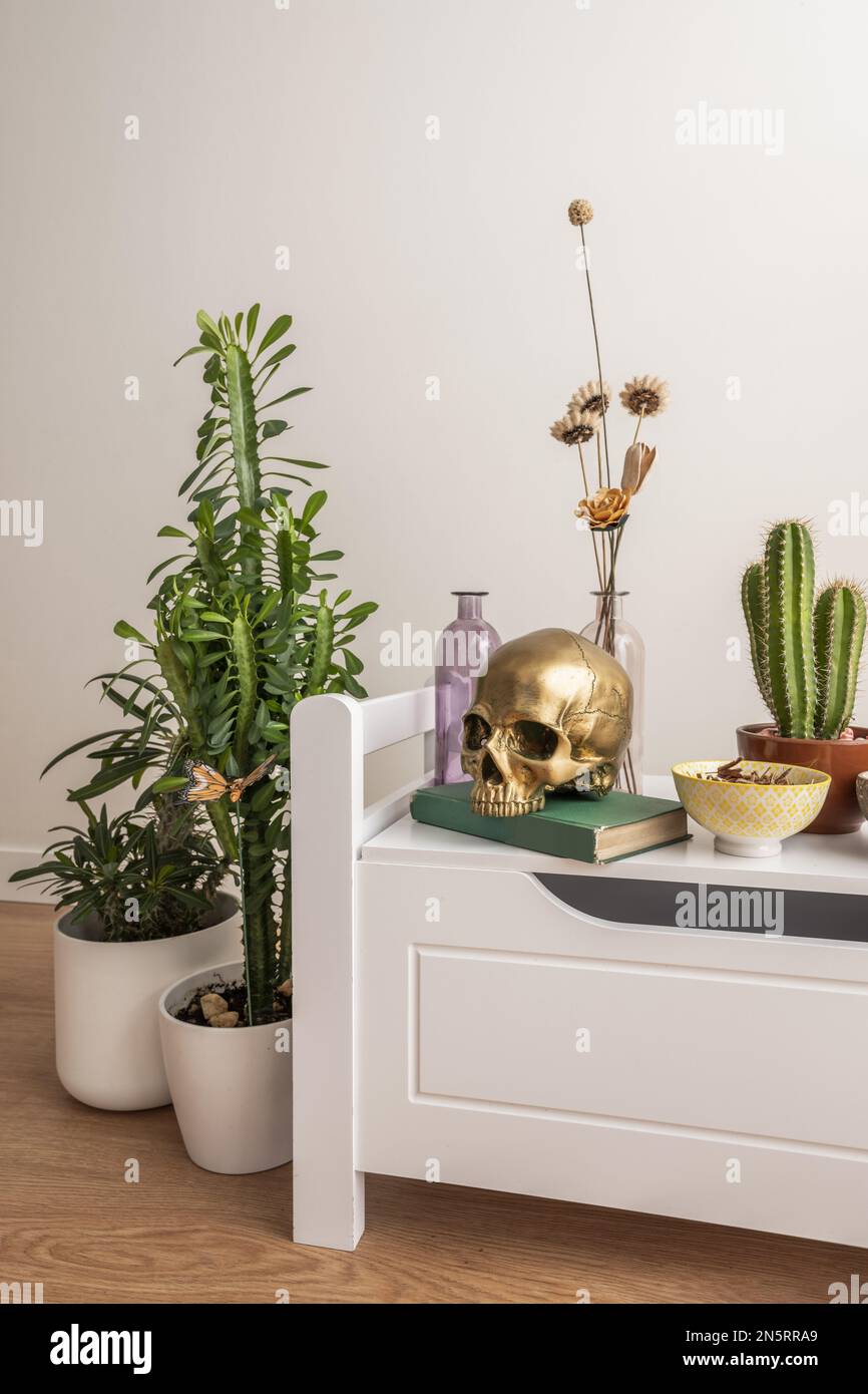 A white wooden trunk with legs surrounded by plants and decorative ...