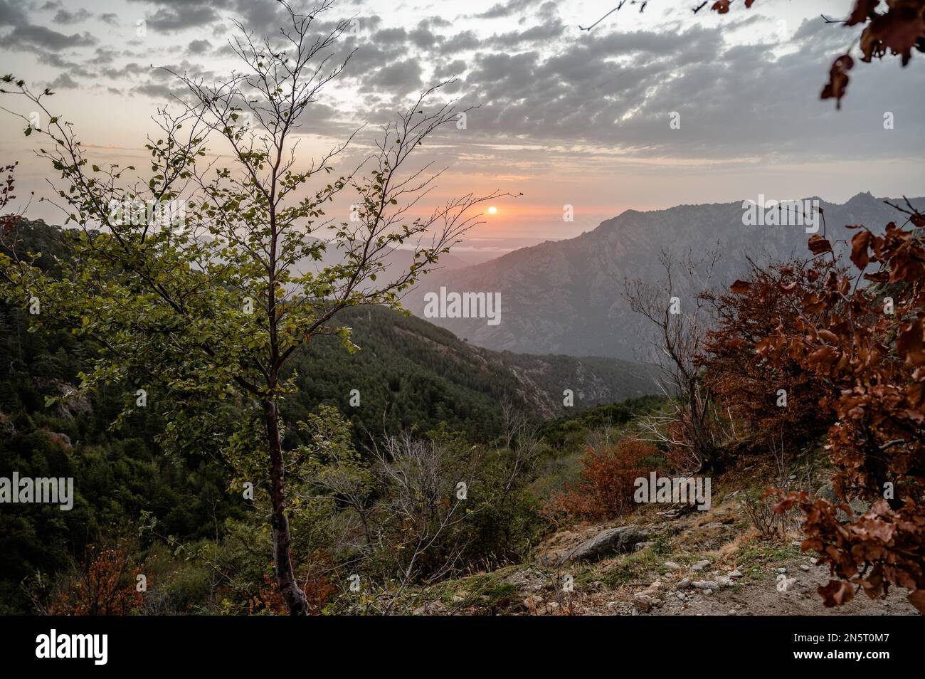 U fugone hi-res stock photography and images - Alamy