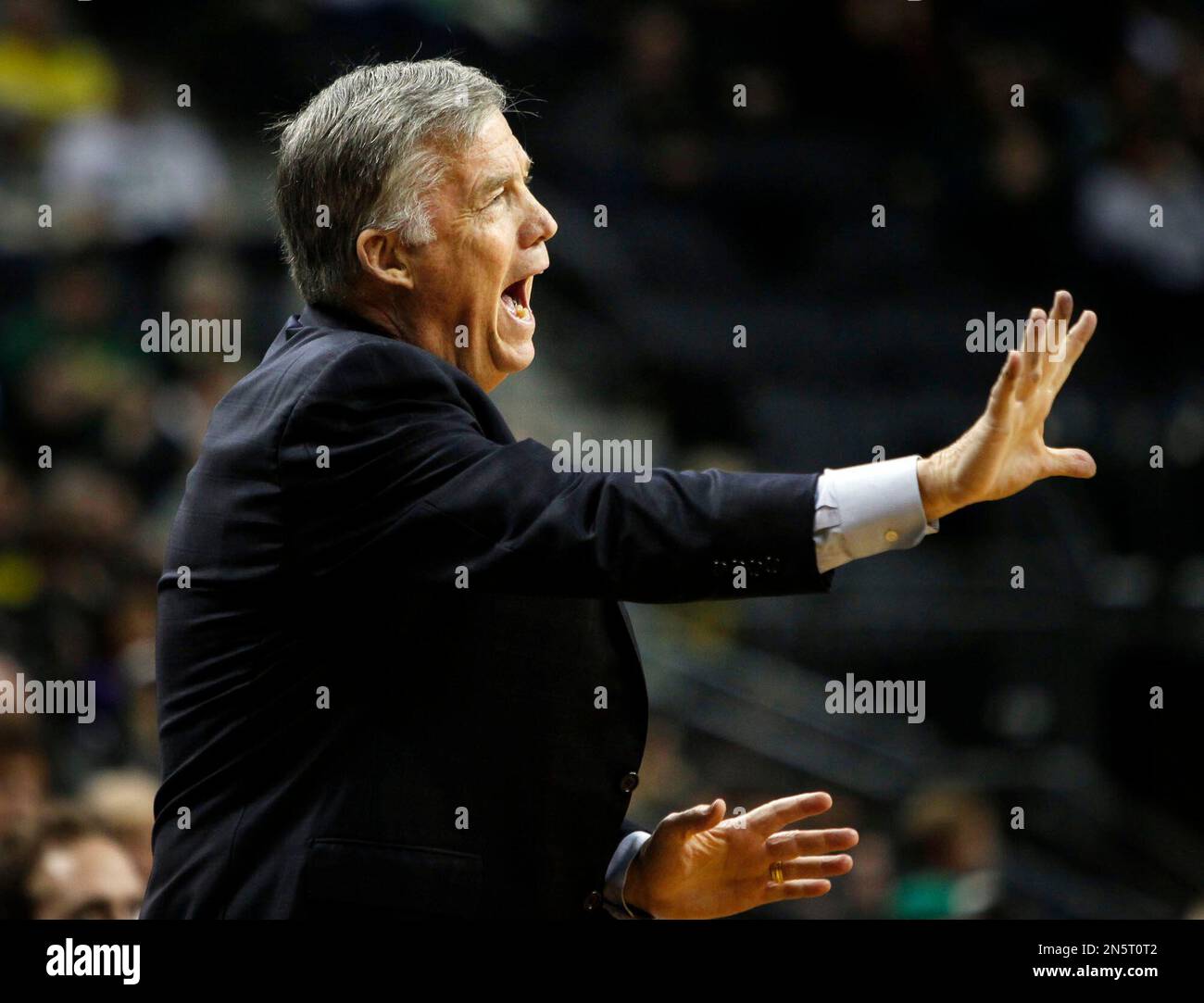 California Head Basketball Coach Mike Montgomery directs his team ...
