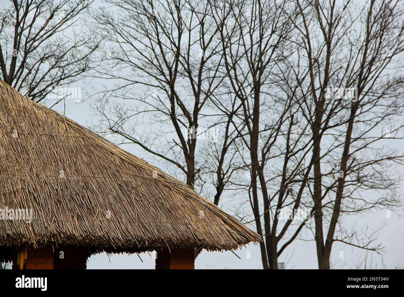 Primitive hut with thatched roof in hail storm Stock Photo - Alamy