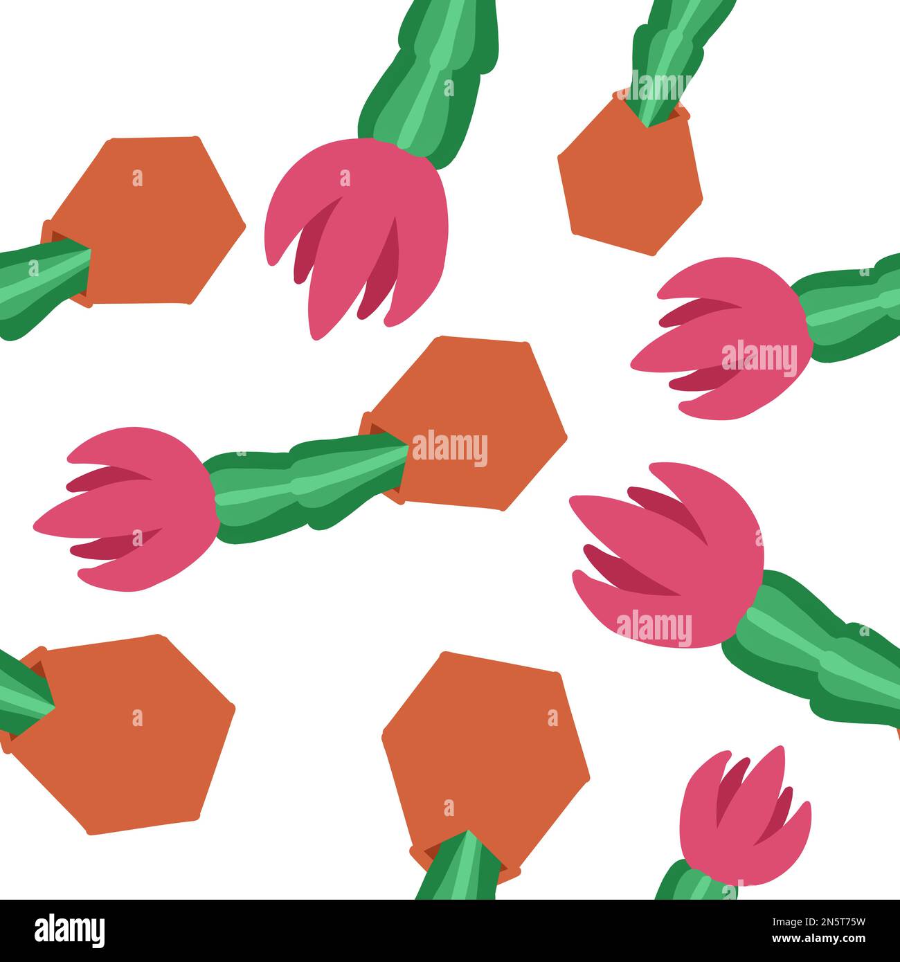 Cacti pattern. Vector illustration in cartoon flat style isolated on white background Stock ...