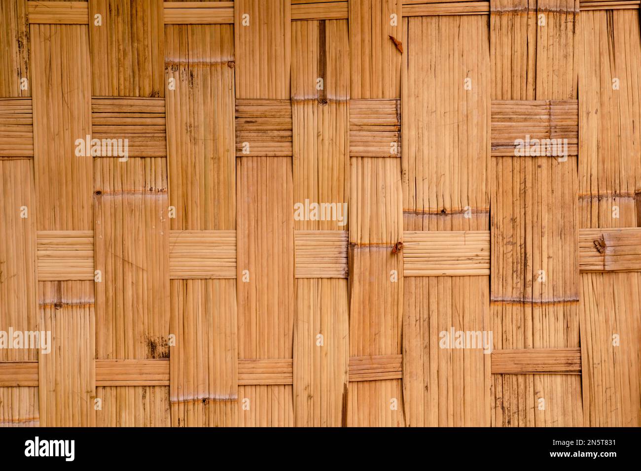 Close up wood texture detail of abstract yellow-brown bamboo stick ...