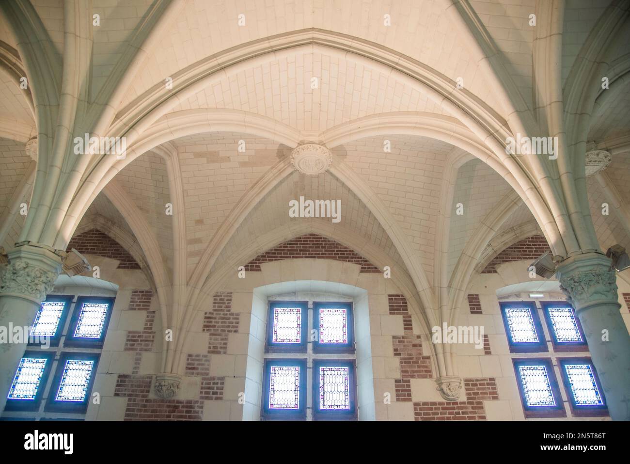 Amboise, France - Dec. 30 2022: Magnificent Vault decorated with french ...