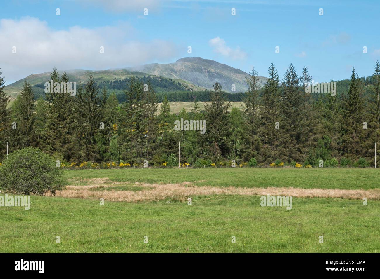 Ben Ledi, seen from the Rob Roy Way walking trail as it approaches ...