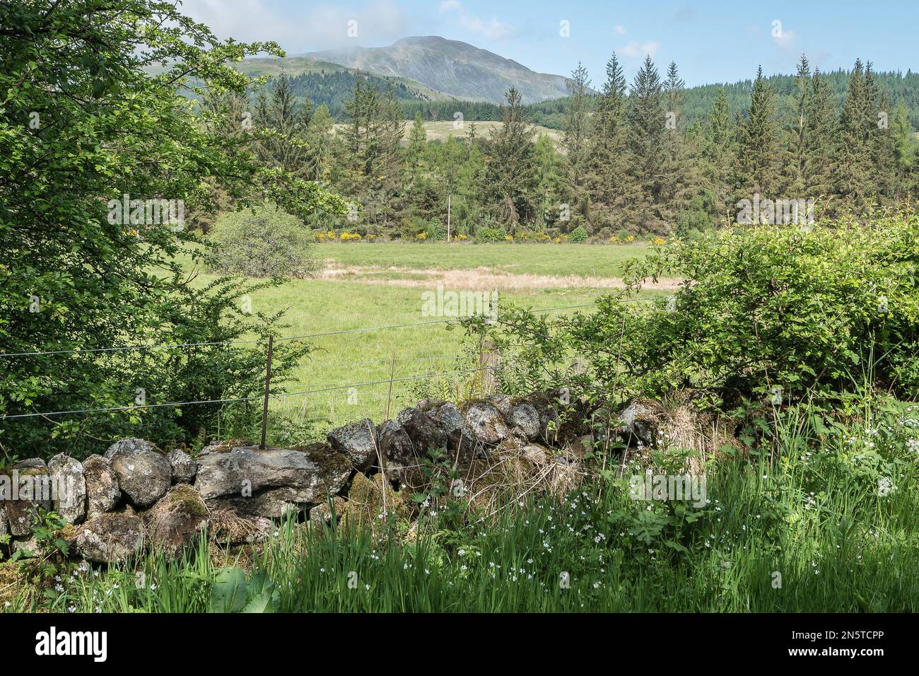 Ben Ledi, seen from over the wall by the Rob Roy Way walking trail as ...