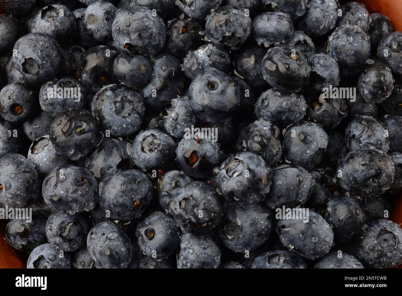 Fresh blueberry background. Texture blueberry berries close up Stock ...