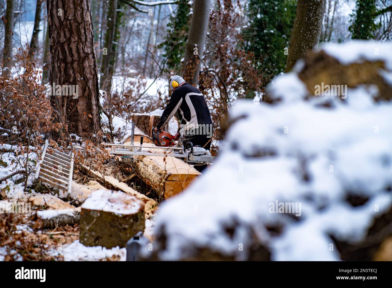 A view of a man cutting wood in the forest during the winter Stock ...