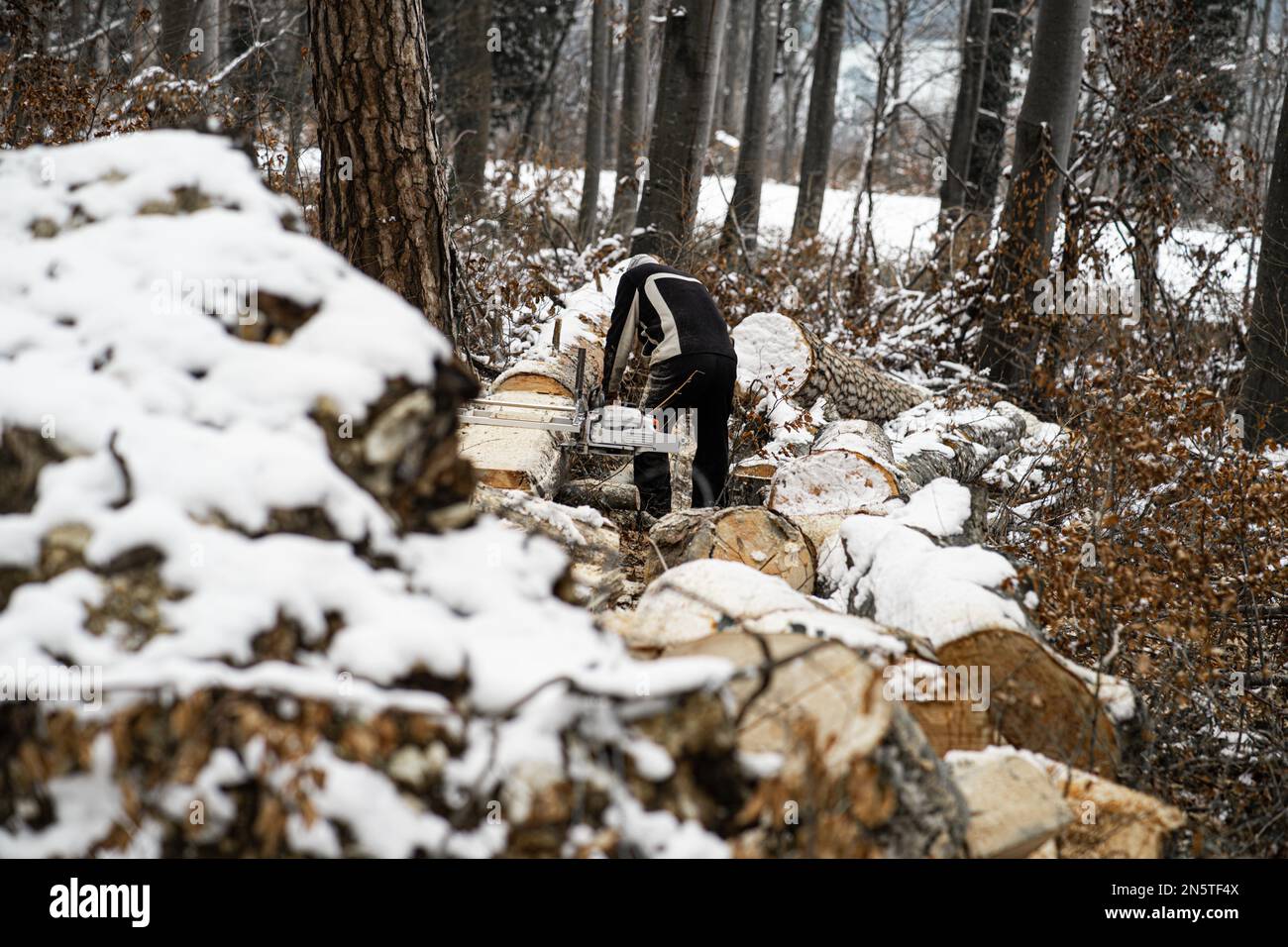 A view of a man cutting wood in the forest during the winter Stock ...