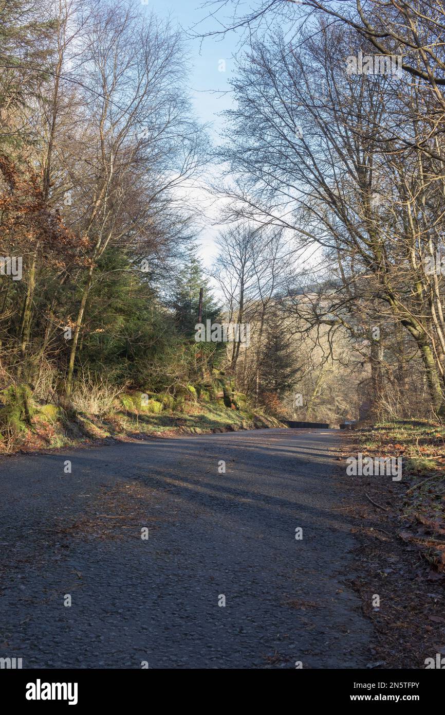 The Rob Roy Way long distance footpath in Strathyre Forest near ...