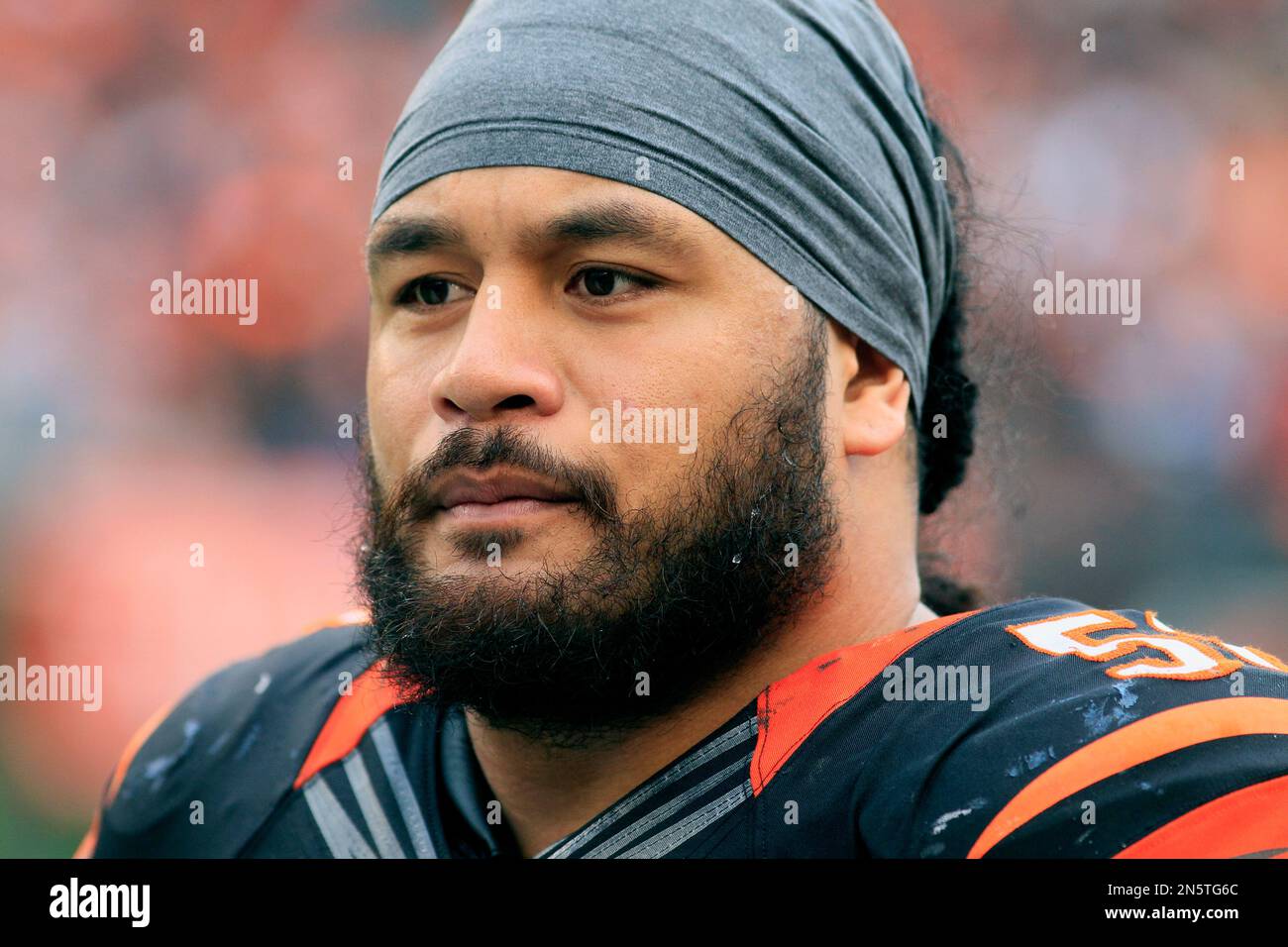 Cincinnati Bengals middle linebacker Rey Maualuga watches from the ...