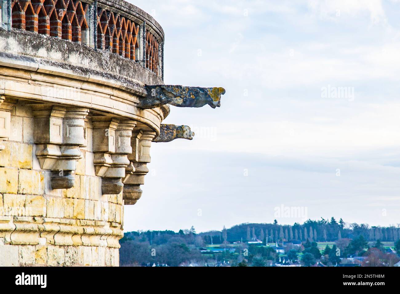Amboise, France - Dec. 30 2022: The Gothic style Gargoyle on the tower ...
