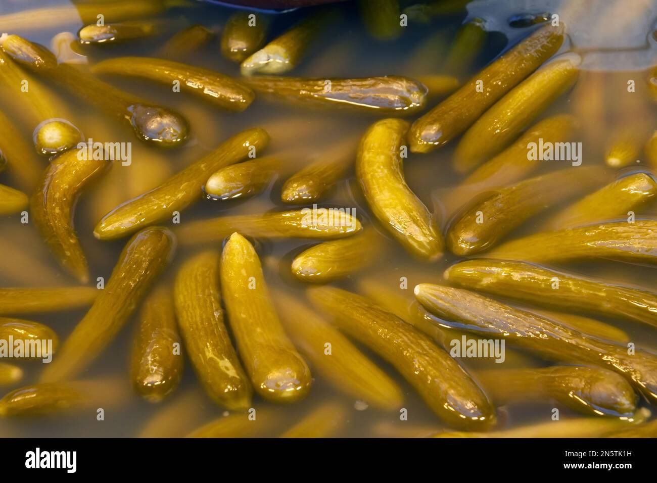 Cucumber gherkin preserved hi-res stock photography and images - Alamy