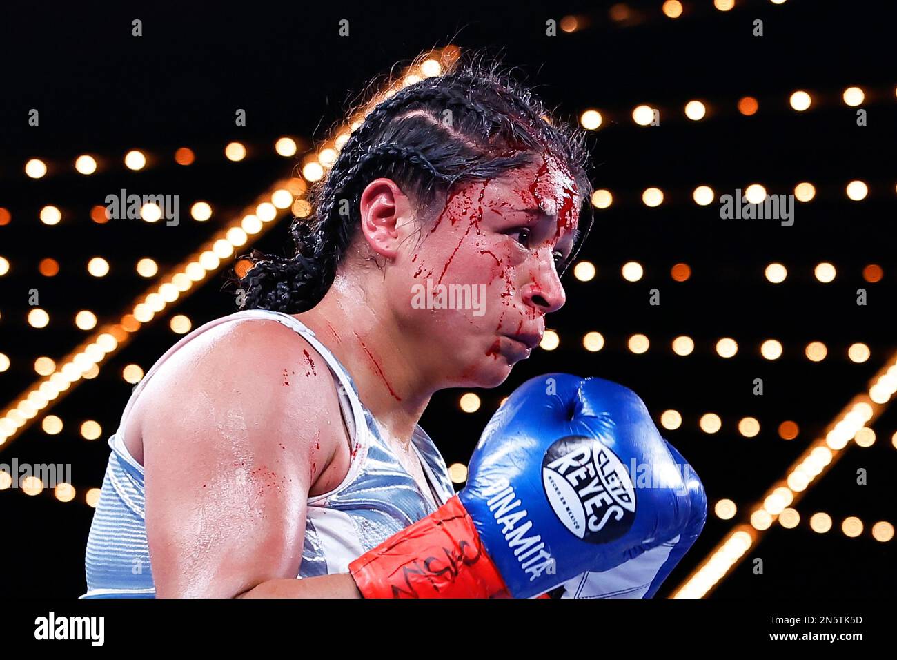 NEW YORK, NY - FEBRUARY 04: A bloodied Erika Cruz boxes against Amanda ...