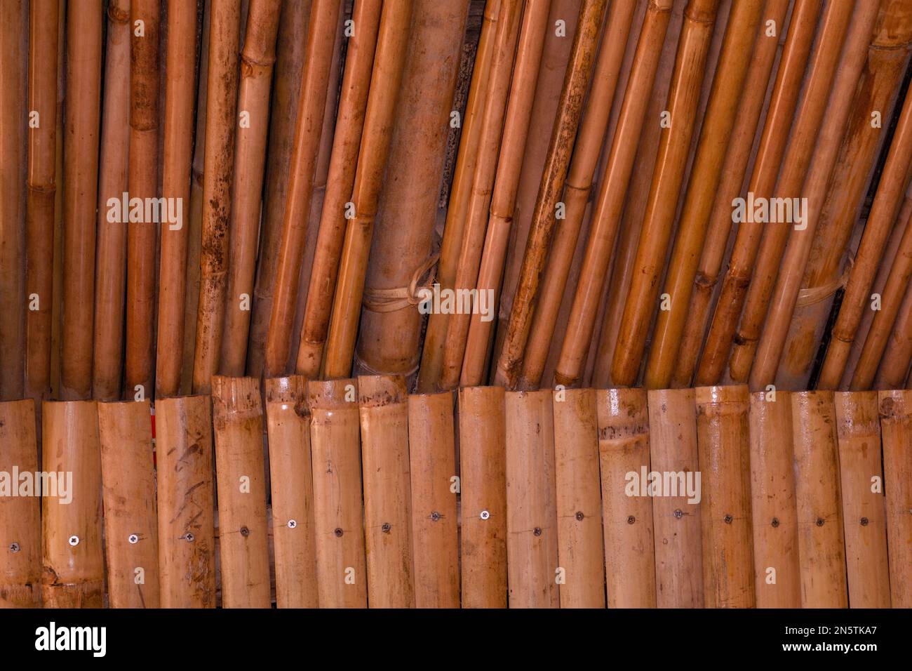 Close up wood texture detail of abstract yellow-brown bamboo stick ...
