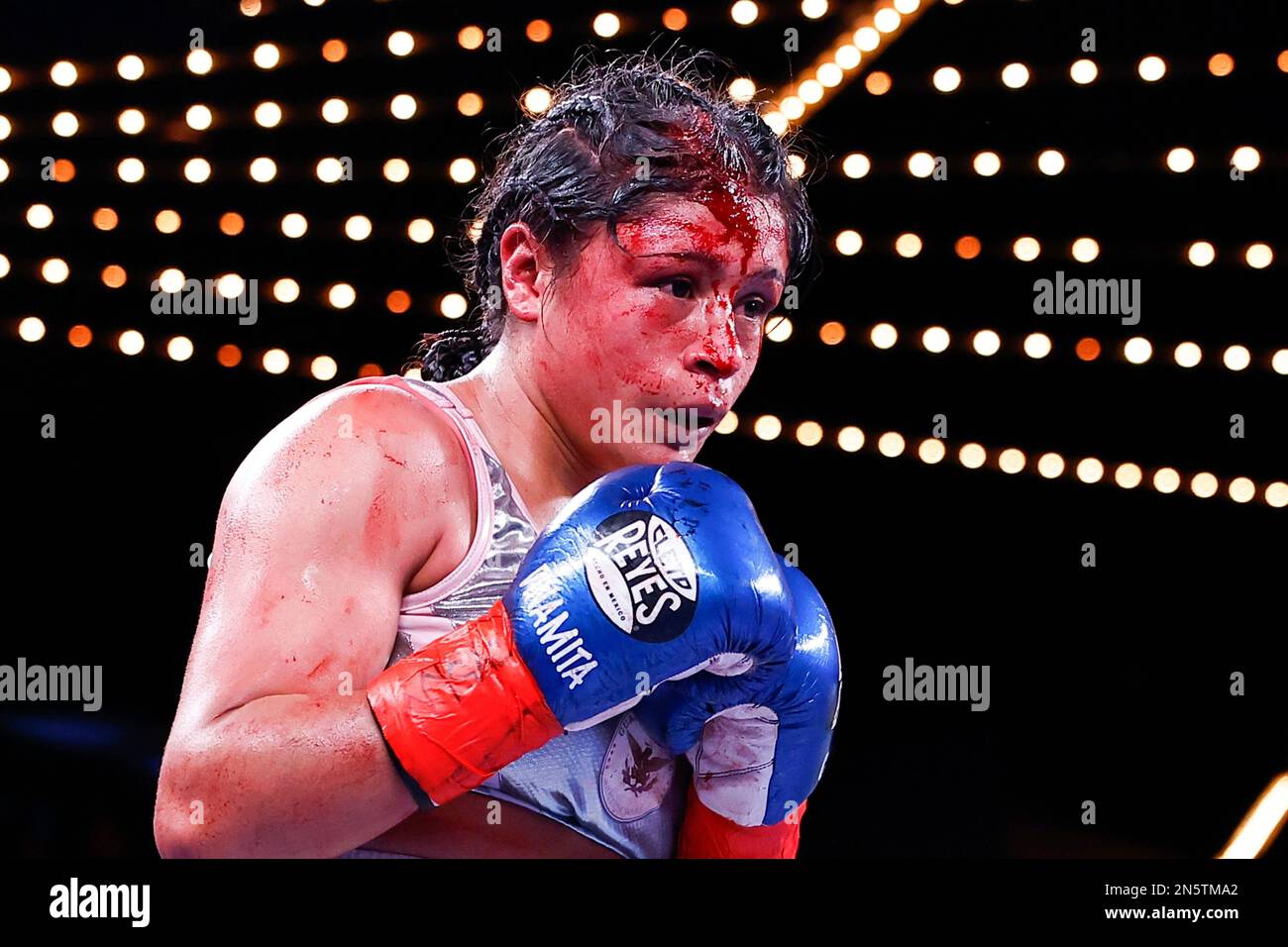 NEW YORK, NY - FEBRUARY 04: A bloodied Erika Cruz boxes against Amanda ...