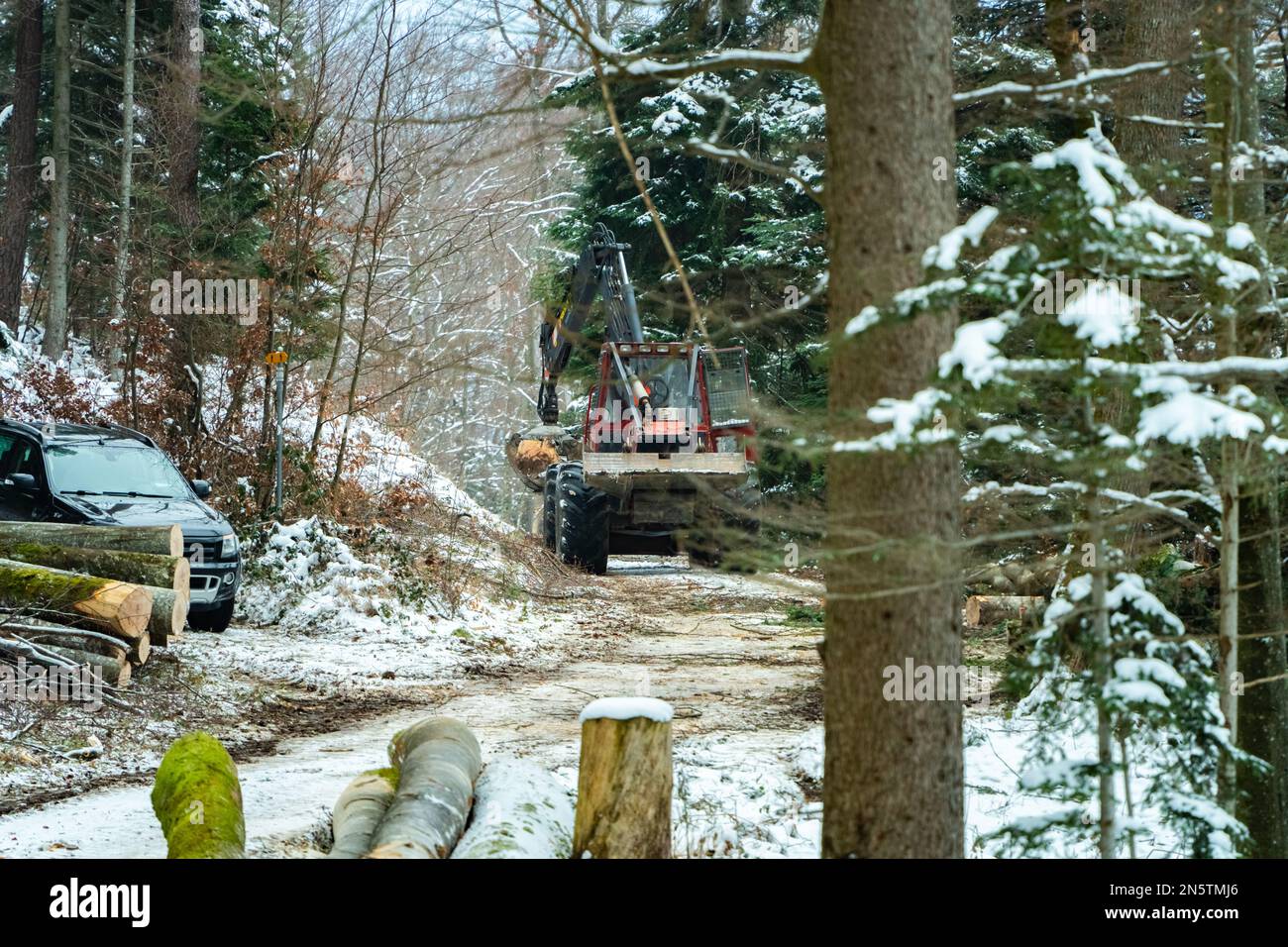 The heavy machinery cutting trees in a winter forest Stock Photo - Alamy