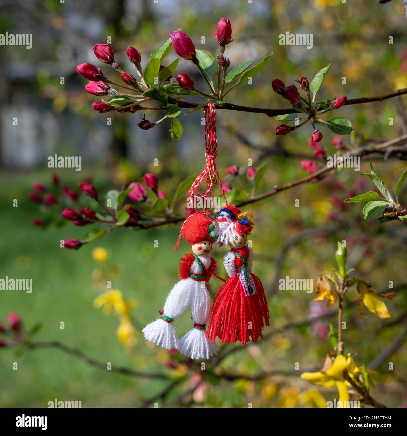 Greeting card background for the arrival of spring. Red-white man and ...