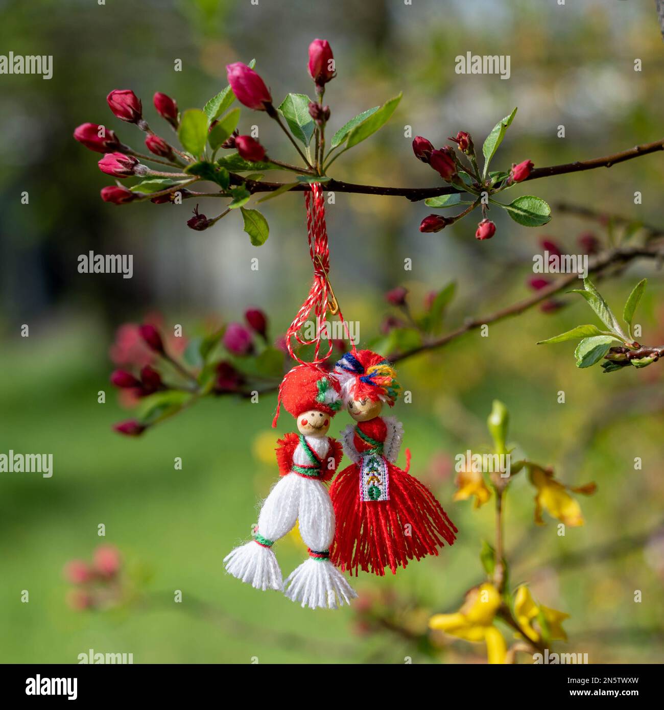 Greeting card background for the arrival of spring. Red-white man and ...