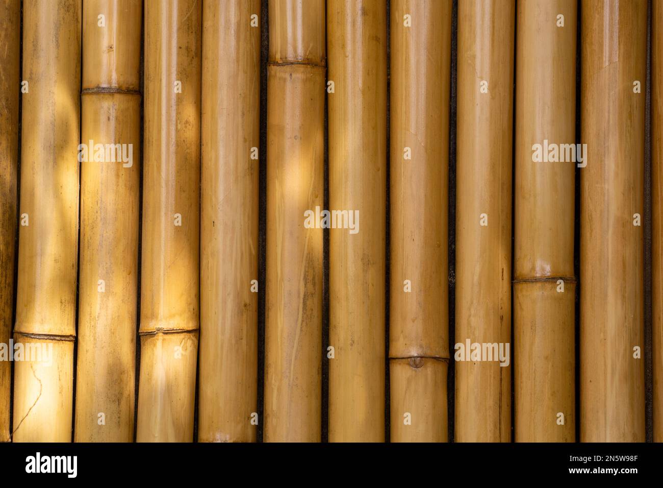 A bamboo background with warm natural tones.Wood Bamboo Background ...