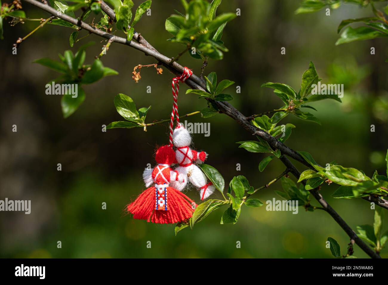 Greeting card background for the arrival of spring. Red-white man and ...
