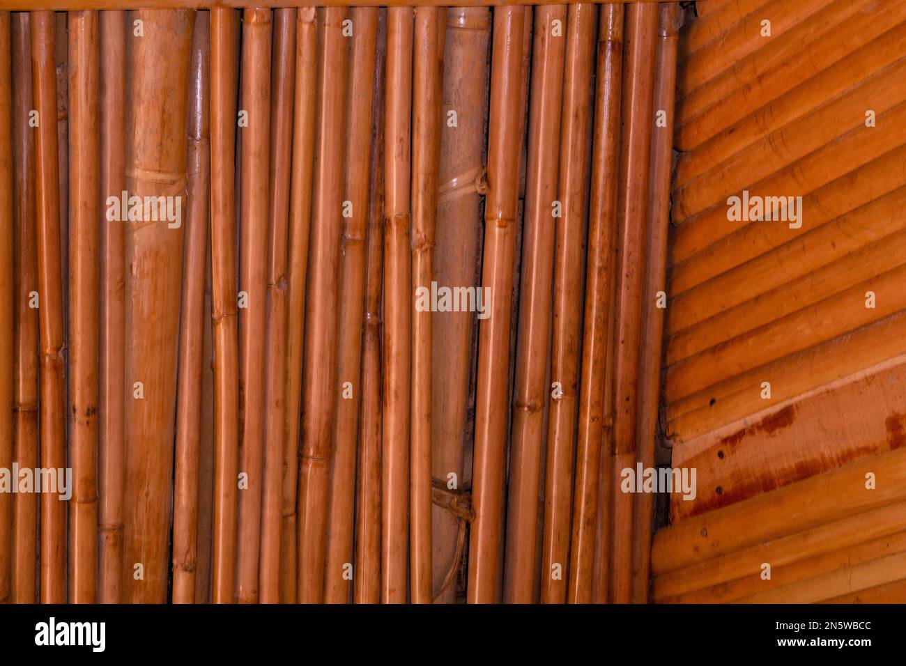 Close up wood texture detail of abstract yellow-brown bamboo stick ...