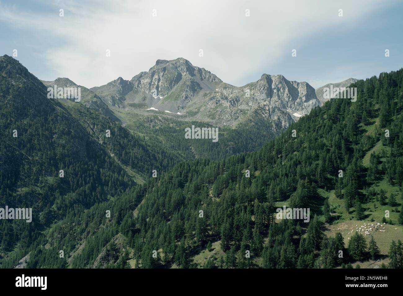 Ferrere, Cuneo (Italy). Panorama of the Maritime Alps Stock Photo - Alamy