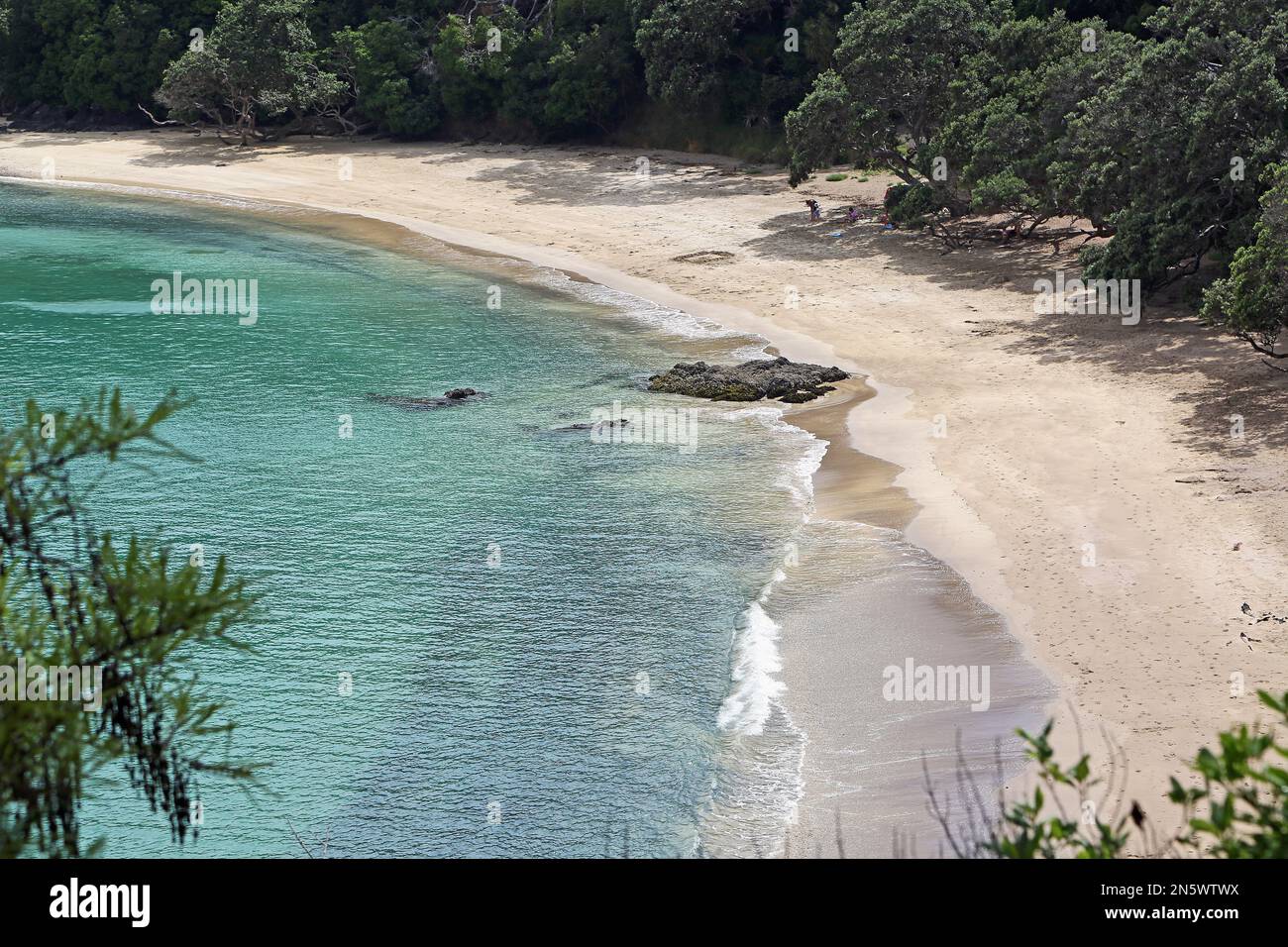 Whale Bay beach, New Zealand Stock Photo - Alamy