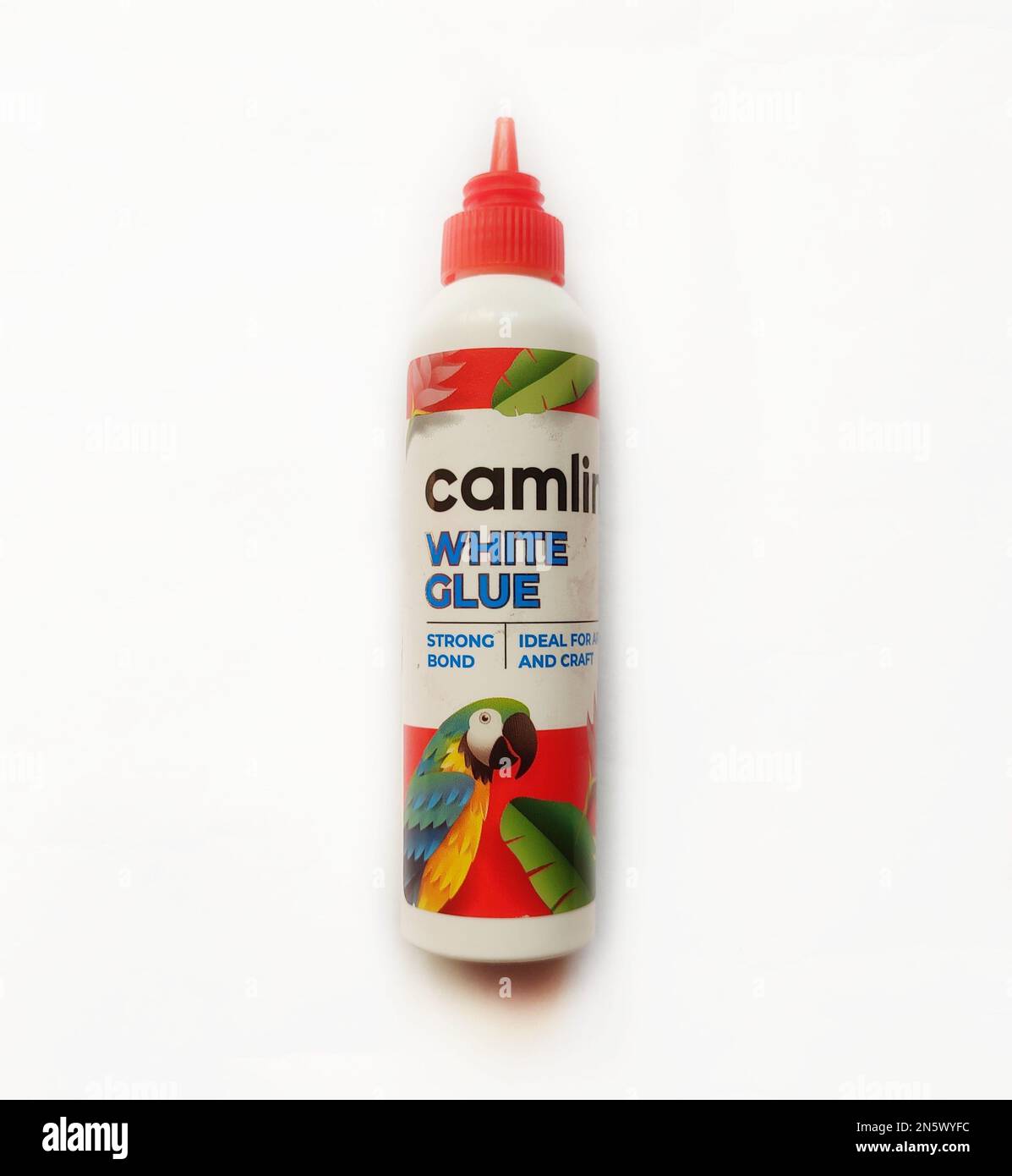 Camlin White Glue in isolated white background Stock Photo - Alamy
