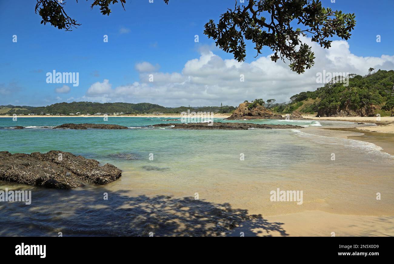 Under the tree on Matapouri Beach - New Zealand Stock Photo - Alamy