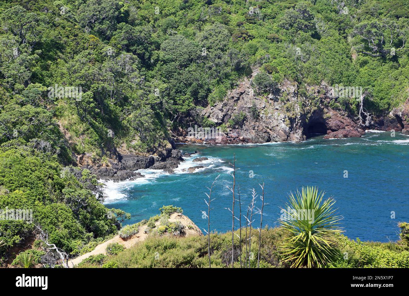 Tutukaka hi-res stock photography and images - Alamy