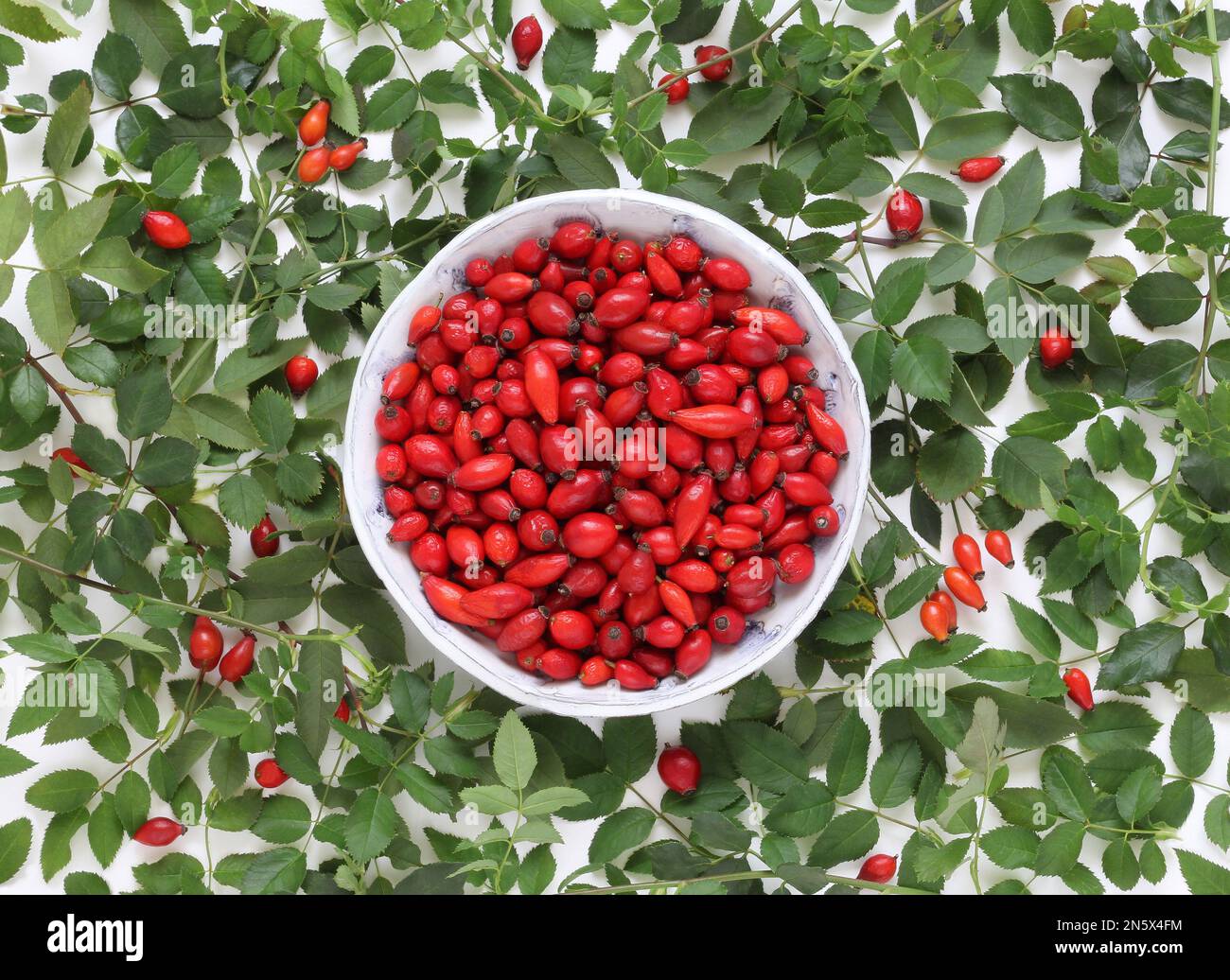Rosehips in bowl on background of fresh leaves, table top view. Rosa ...