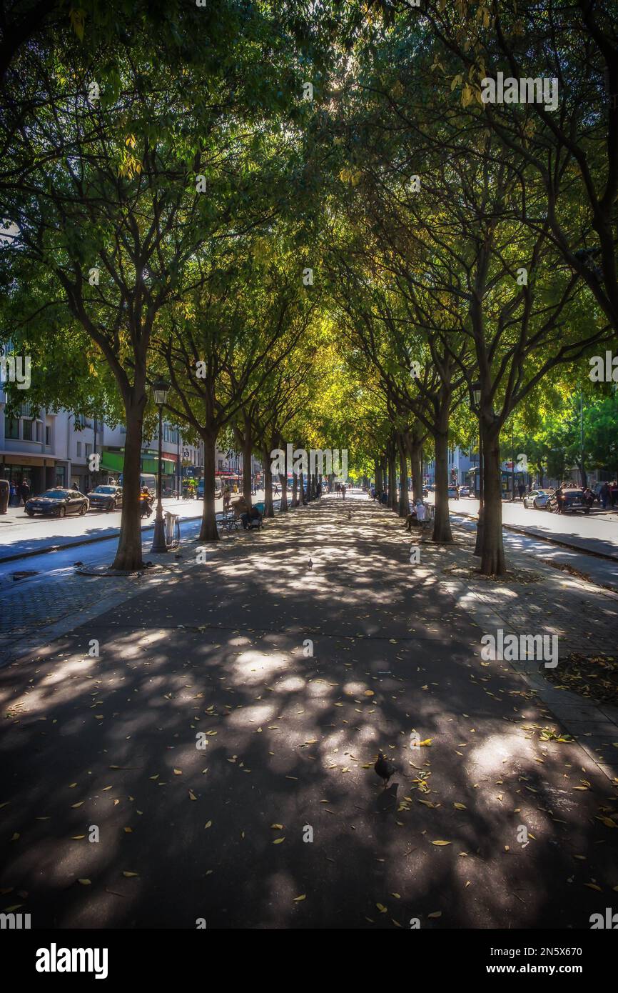 Contre allee hi-res stock photography and images - Alamy