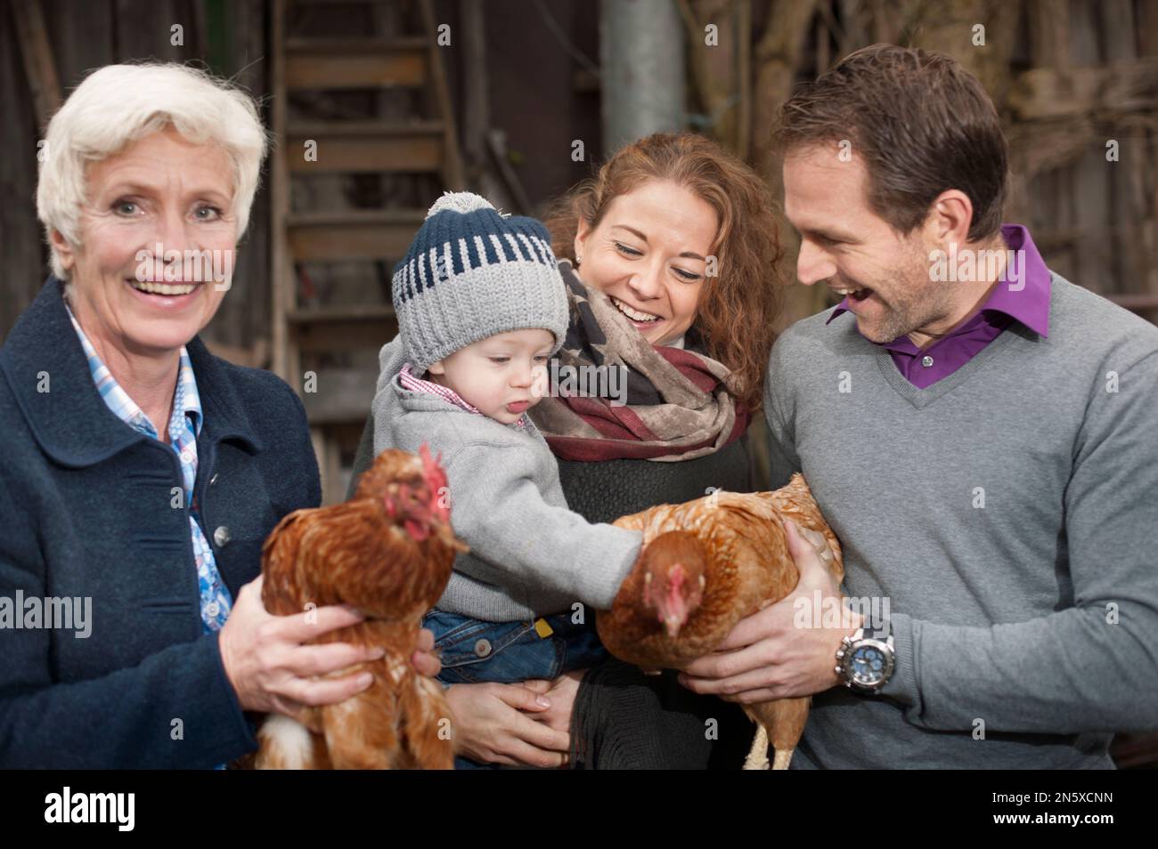 Family with chicken birds standing in poultry farm, Bavaria, Germany ...