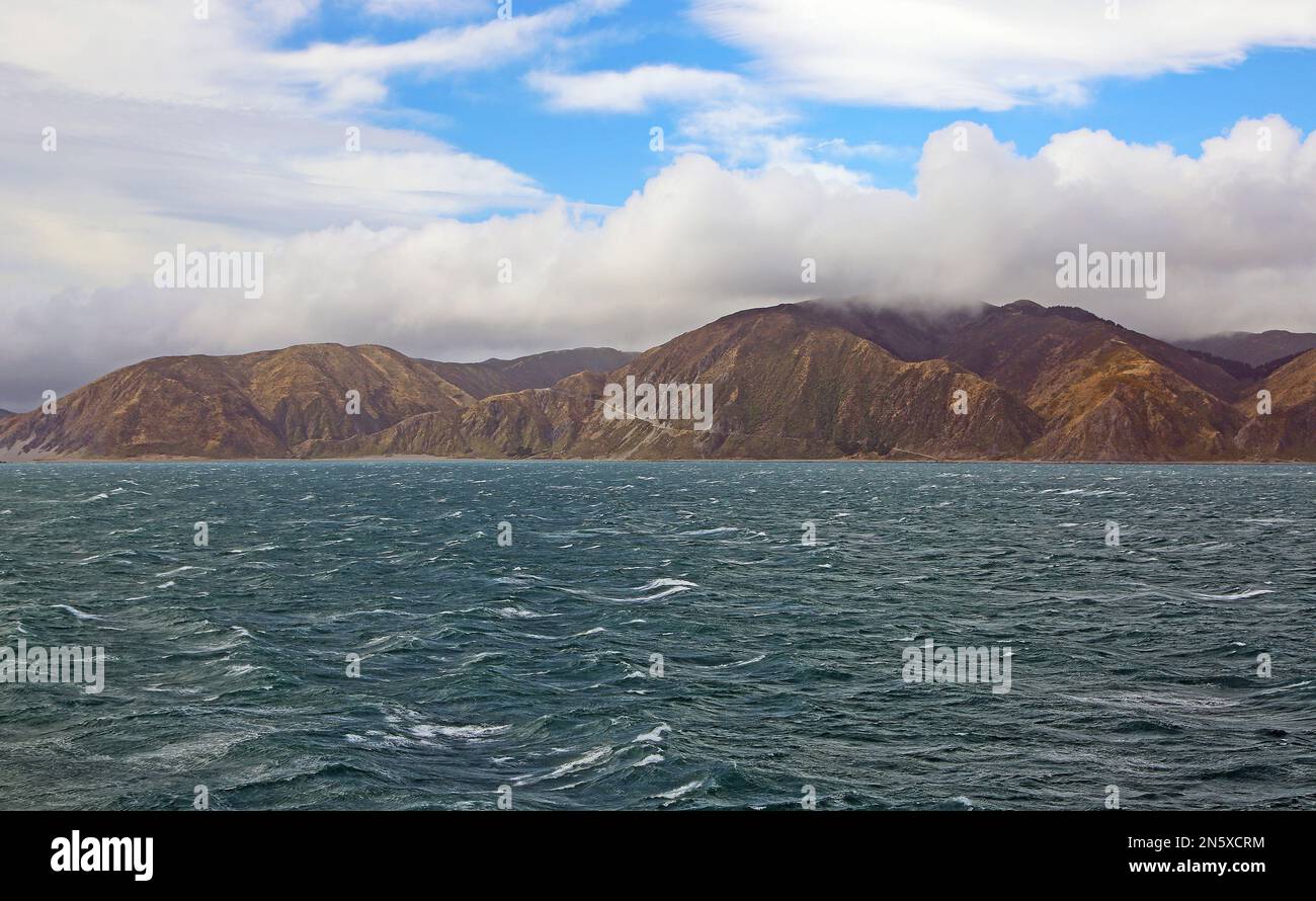 In Cook Strait - New Zealand Stock Photo - Alamy