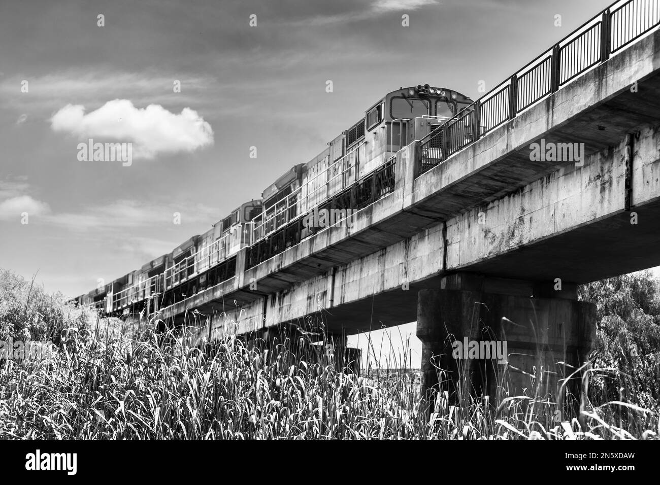 Bridge over train Black and White Stock Photos & Images - Alamy